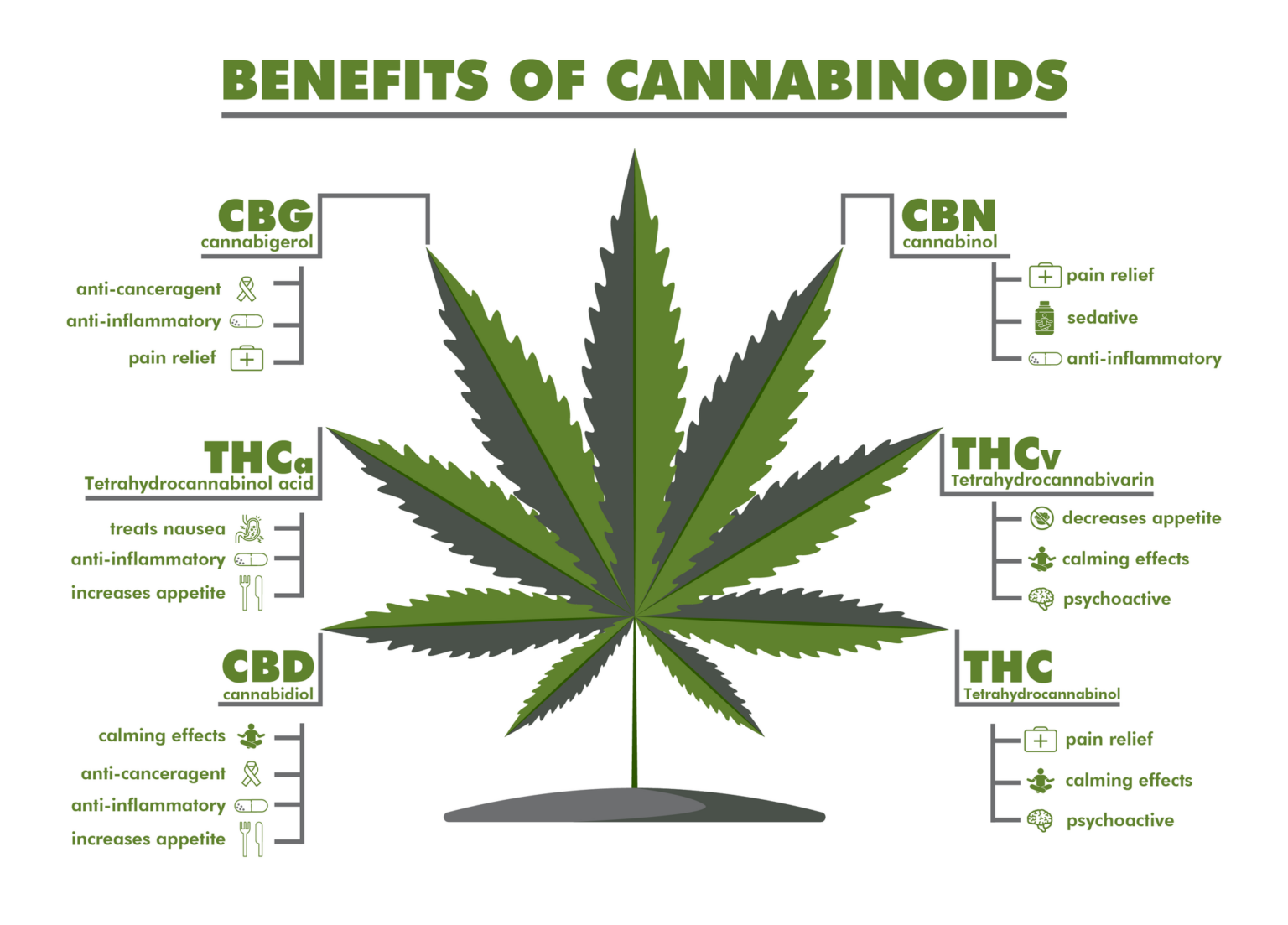 List Of Cannabinoids